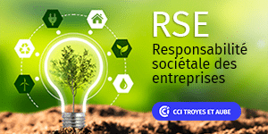 [Rencontre RSE] - POINT INFO : "Construire une stratégie RSE efficace ...
